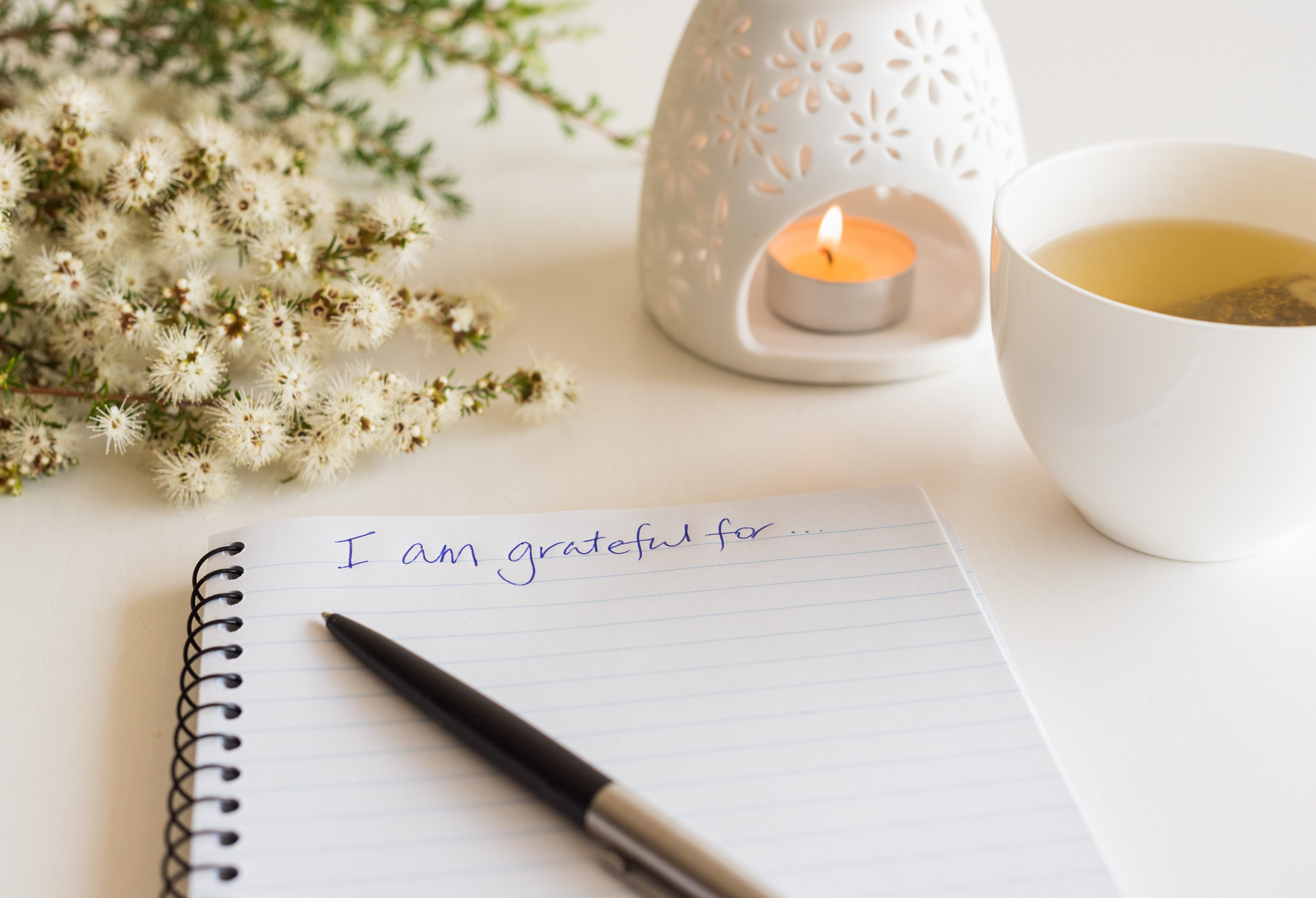 The Beauty Between – Heritage Counseling Center Blog